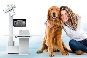 Veterinary Digital Dental Radiography Equipment