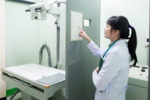 The Essential Guide to Veterinary X-Ray Equipment - Custom X-Ray ...